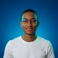 CV/Mission IDS-2 freelance | Freelance-Informatique