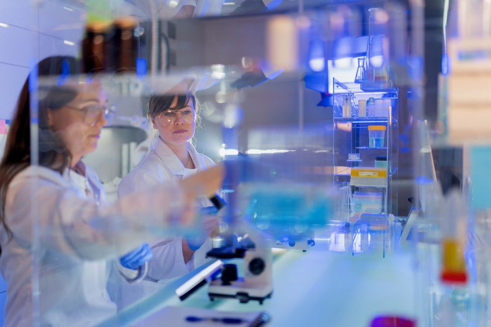 Les avancées de l’informatique biologique se basent sur les organoïdes ...